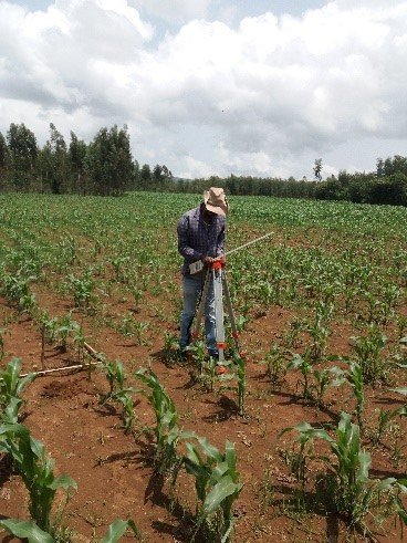 LAI measurement for maize, teff and rice in Lake Tana Basin using ...