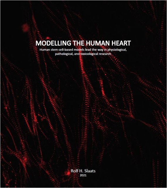 PhD Defence Rolf Slaats | Modelling the human heart - Human stem cell ...