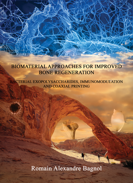 PhD Defence Romain Bagnol | Biomaterial approaches for improved bone ...
