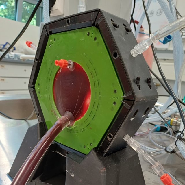 UT PhD student develops artificial lung-kidney