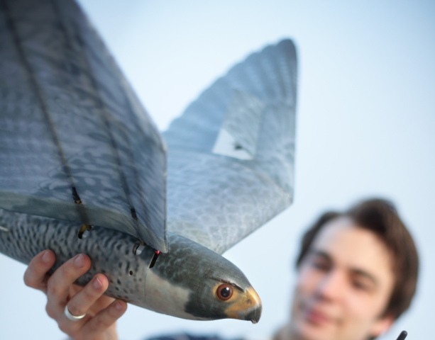 Autonomous Robird is one step closer